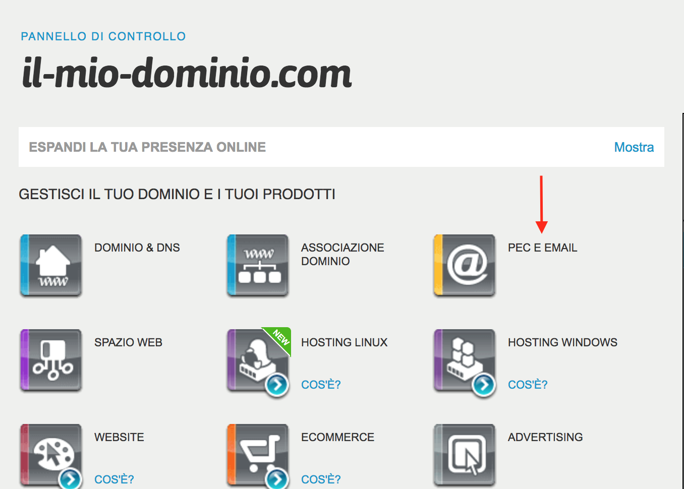 Attiva la PEC omaggio del tuo dominio - Register.it