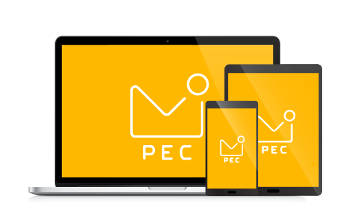 Certified mail - PEC - Registered mail